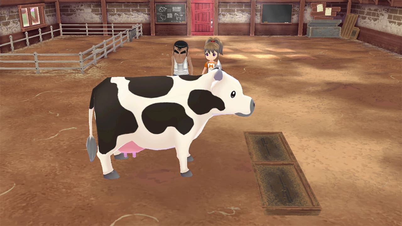XSEED Games Reveals Physical Editions for STORY OF SEASONS: A Wonderful ...